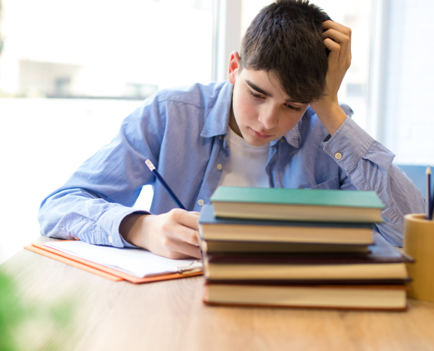 Articles - Effective Students